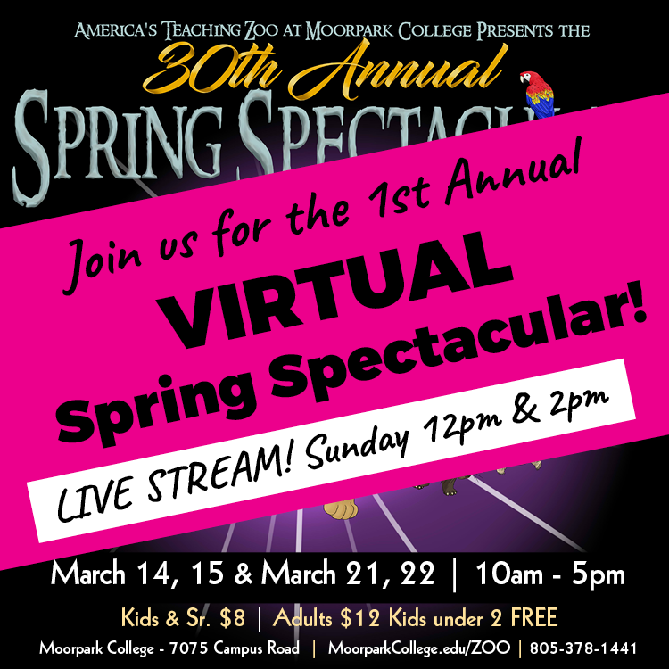 Spring Spectacular – Moorpark College Zoo