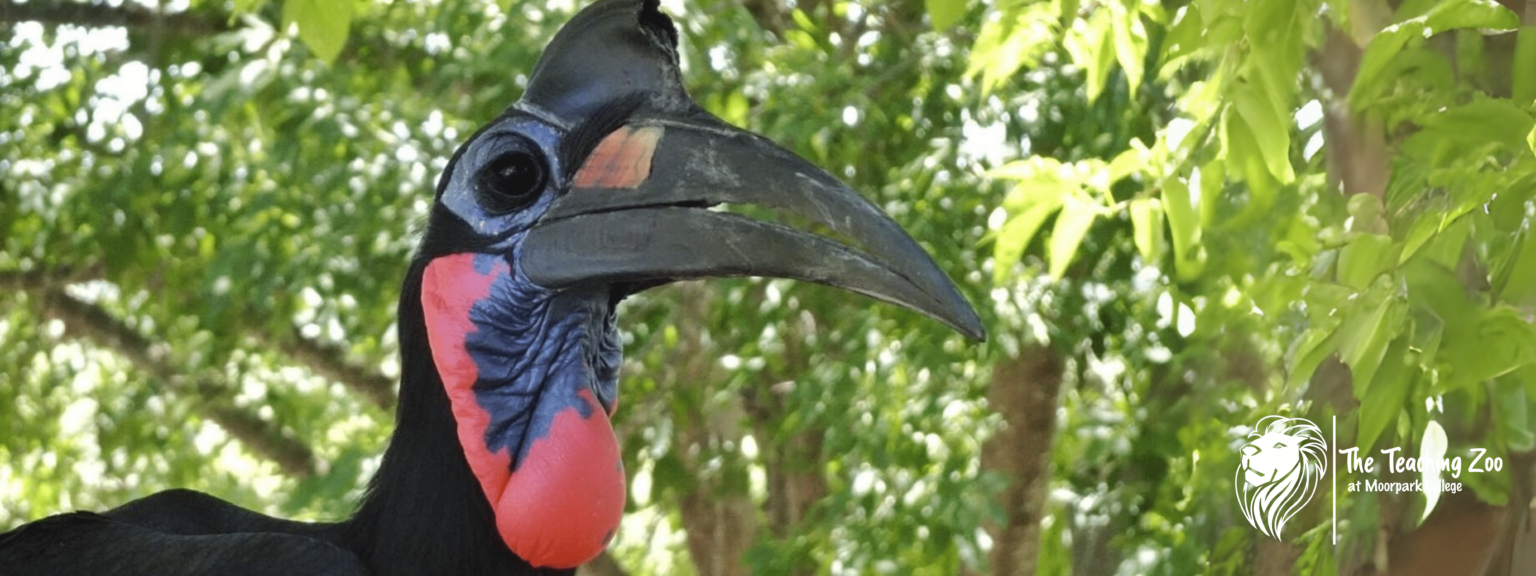 Moorpark College Zoo – Exotic Animal Training & Management